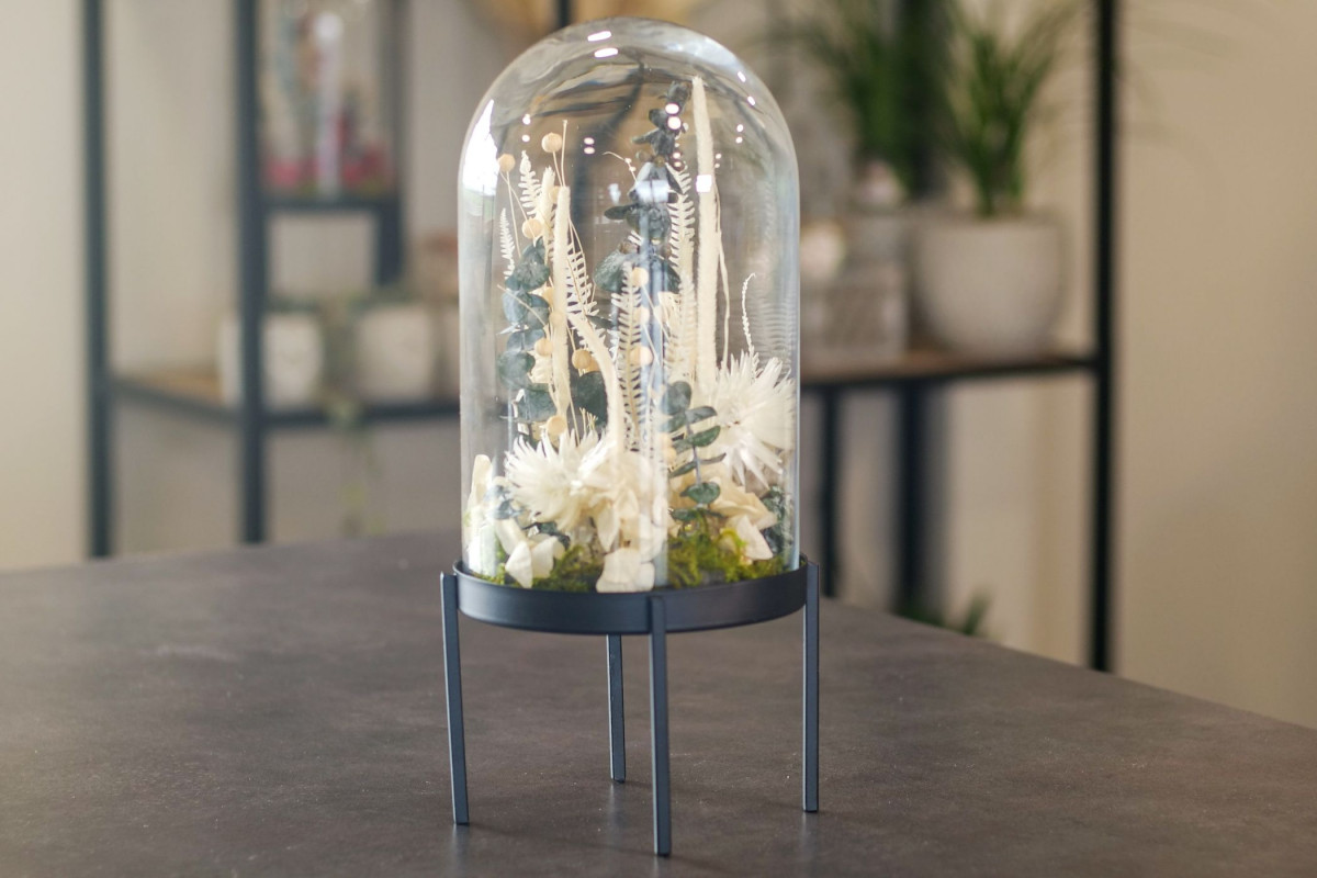Réaliser votre composition de fleurs séchées sous cloche - Wecandoo