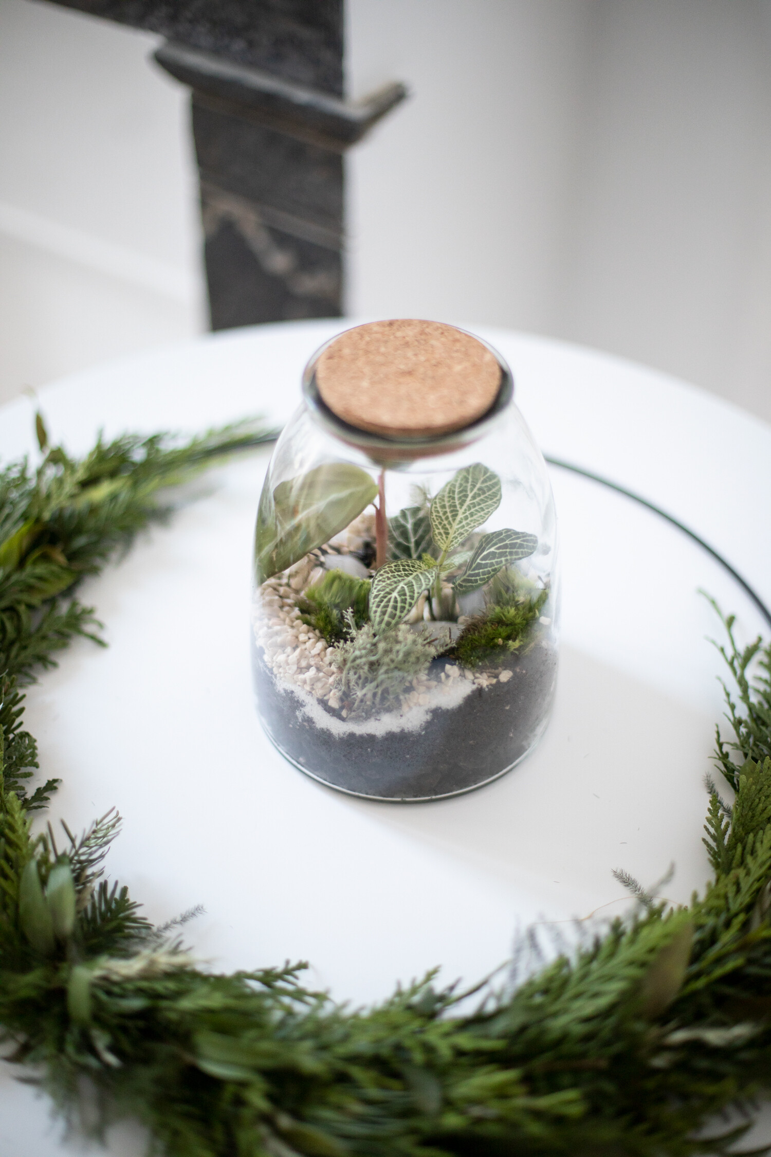 Enchantez votre équipe et réalisez chacun un terrarium unique avec ...