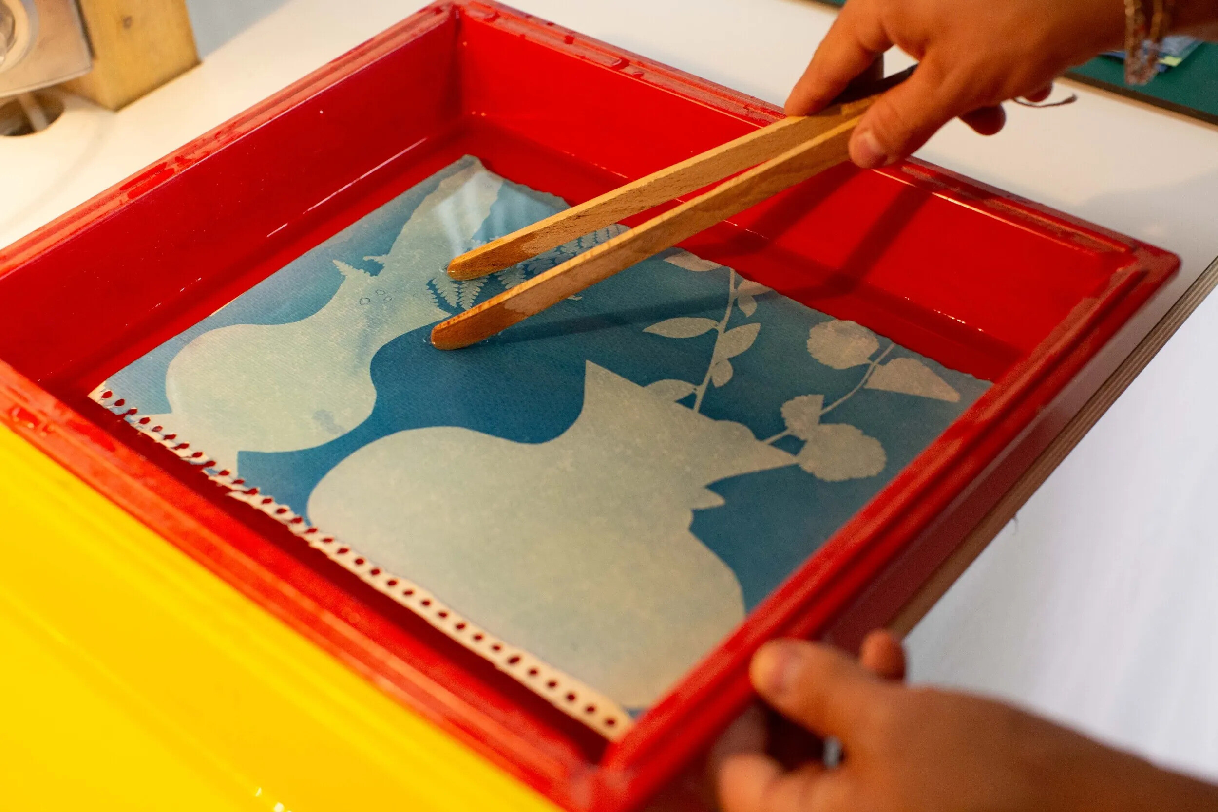 Wecandoo - Initiez-vous à l'impression cyanotype avec Thomas